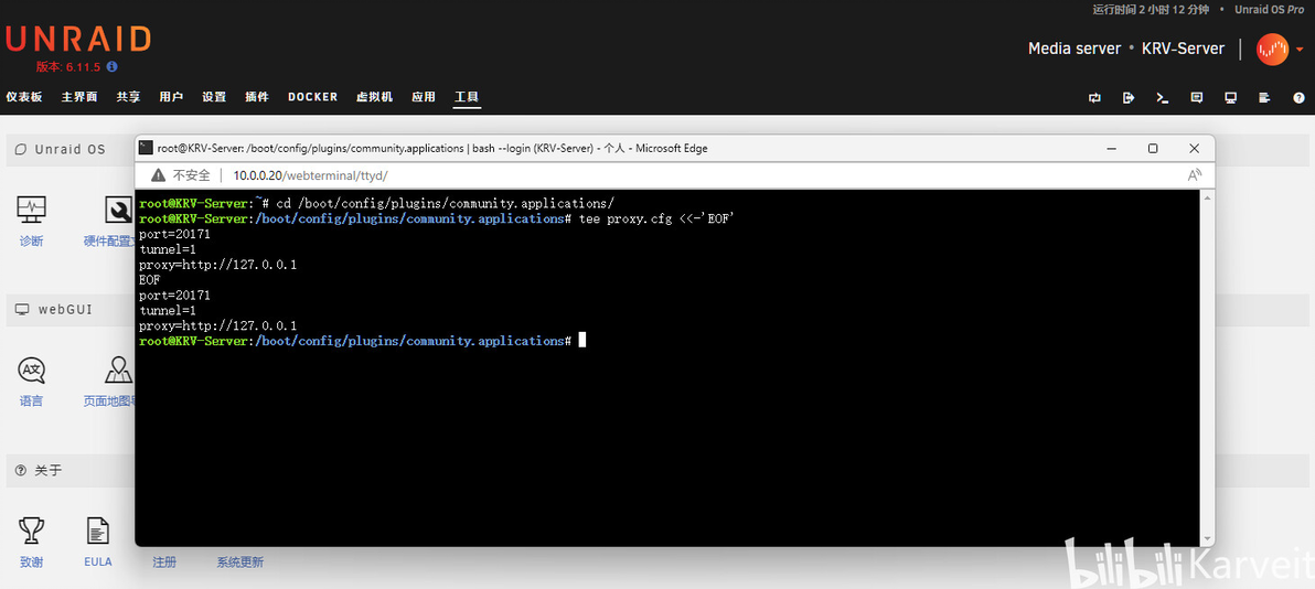 保姆级幼教级UNRAID入门，和解决插件商店及插件安装的网络问题 - 哔哩哔哩