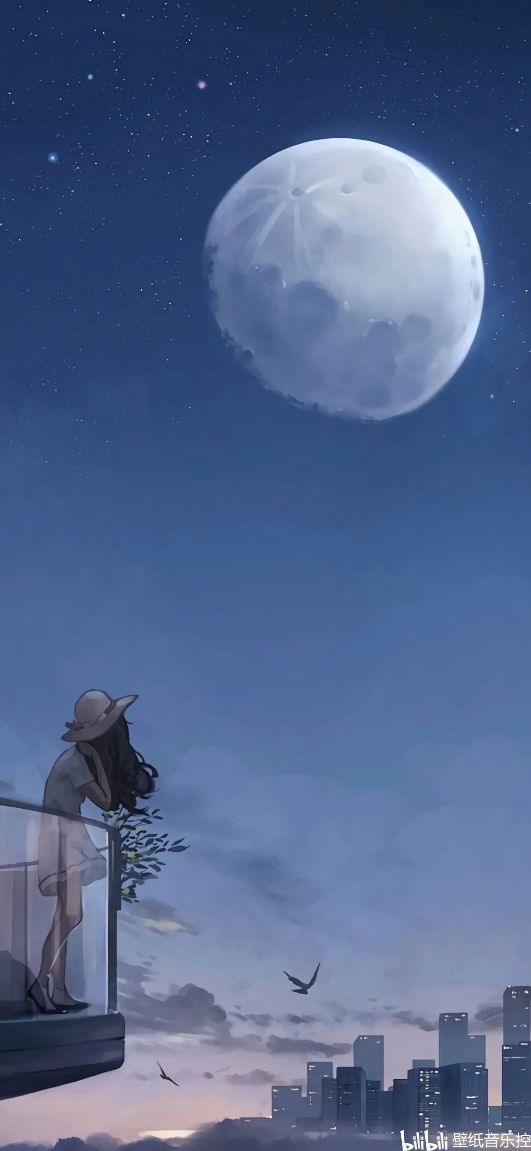 4K手机全面屏壁纸合辑，一次看够【680P】 - 哔哩哔哩