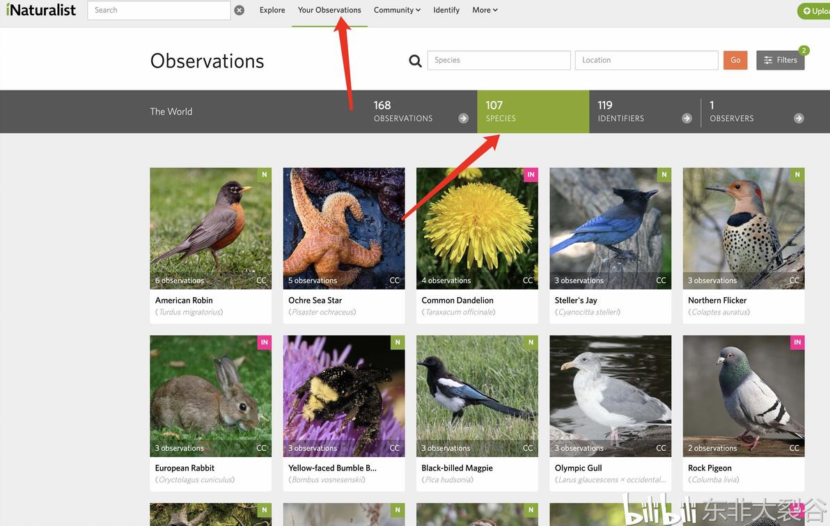 目标是不神奇宝贝大师！——猴子也能懂的iNaturalist进阶教程 - 哔哩哔哩