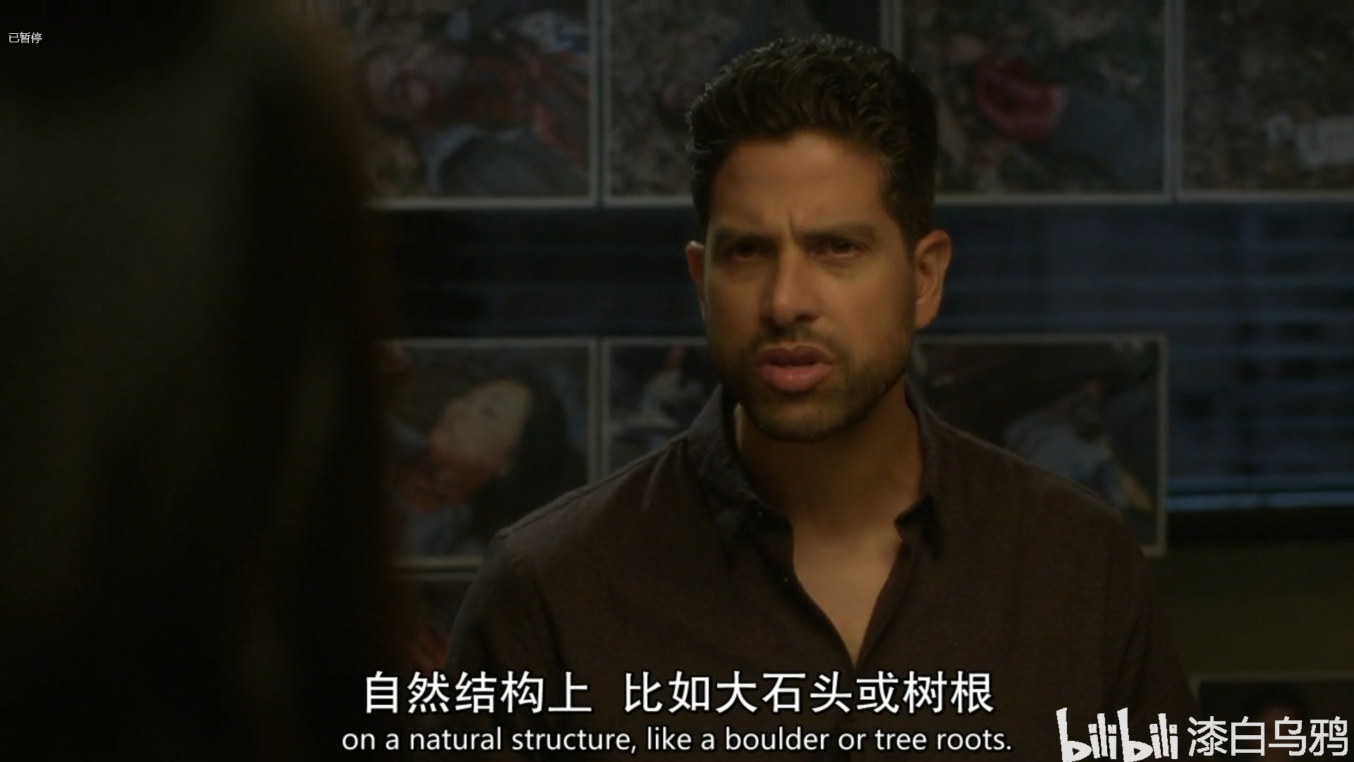 美剧《犯罪心理》criminal Minds 第13季e12~e16 摘录 哔哩哔哩