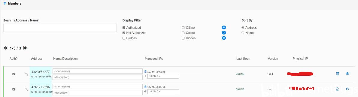 使用zerotier优化P2P游戏联机体验 - 哔哩哔哩