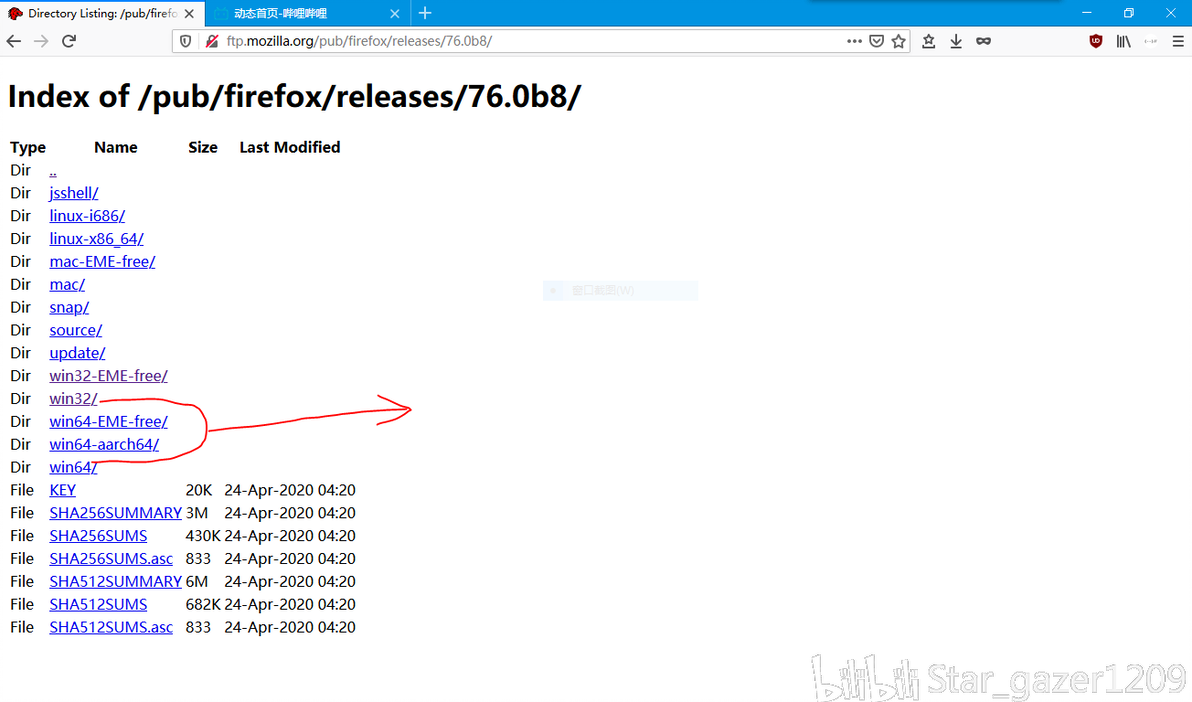 使用Mozilla FTP服务下载火狐(Firefox)浏览器 - 哔哩哔哩
