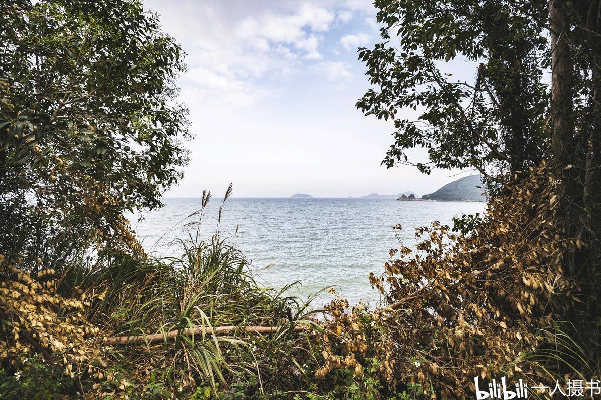 尼康z50、zfc、z30镜头系统推介，完善z半画幅系统镜头群。 - 哔哩哔哩