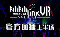 朋友，听说过BML和BW吗？——带你了解bilibili大型线下活动 - 哔哩哔哩