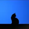 如何在maya中进行卡通渲染（cel shading）合集（更新中）_哔哩哔哩_bilibili