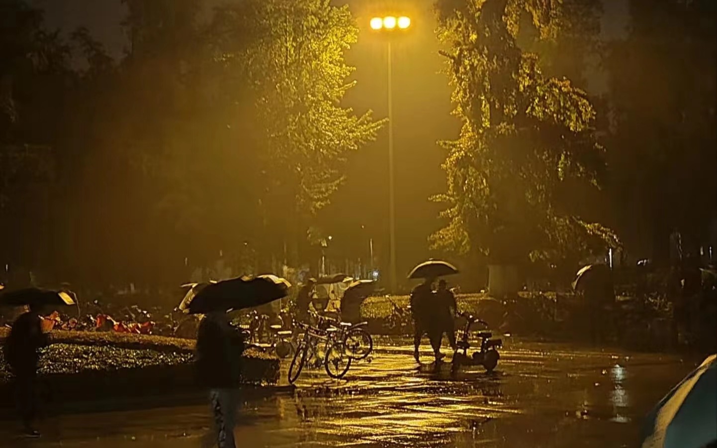 【Animenz】晓之镇魂曲 进击的巨人3 ED-閑雲埜鹤-Animenzzz-哔哩哔哩视频