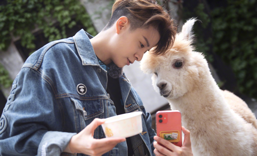 【刘逸云 Amber Liu】横屏饭拍 | 成都站No More Sad Songs巡演上半场230817-87300585615_bili ...