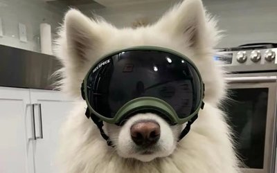 在百万录音棚听 Michita·Pureness《Cry for me（feat.Ami）》-老农吃甜菜-音乐&歌曲-哔哩哔哩视频