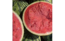 帕梅拉3分钟热身舞蹈｜Pamela Rief（4.10更新）-87776185585_bili-热身 局部 全身 拉伸-哔哩哔哩视频