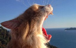 【冷门电音】Pure Sunlight (Elliot Berger & SDDx Remix) +原版-洛天依我媳妇儿咩-音乐2-哔哩哔哩视频