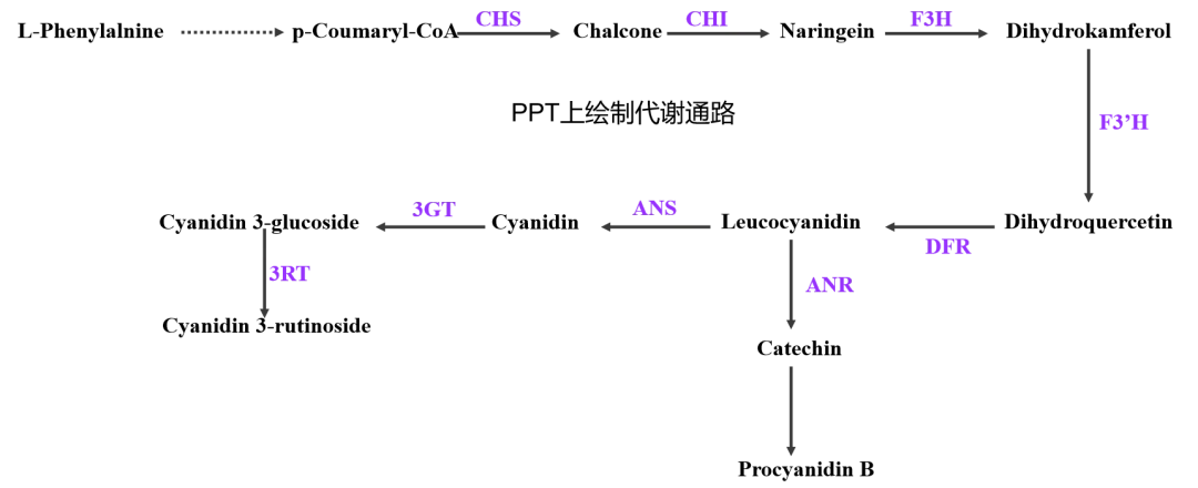 分享一个PPT+Excel绘制KEGG通路热图的方法 - 哔哩哔哩