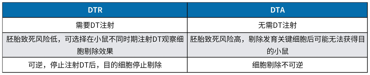 无需DT！DTA小鼠精准驱动细胞条件性剔除 - 哔哩哔哩