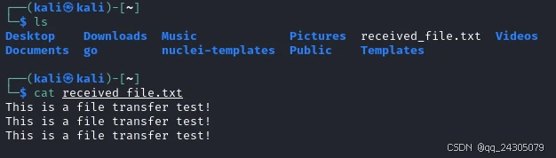 nc工具！Netcat：TCP/IP瑞士军刀！全参数详细教程！Kali Linux教程！ - 哔哩哔哩