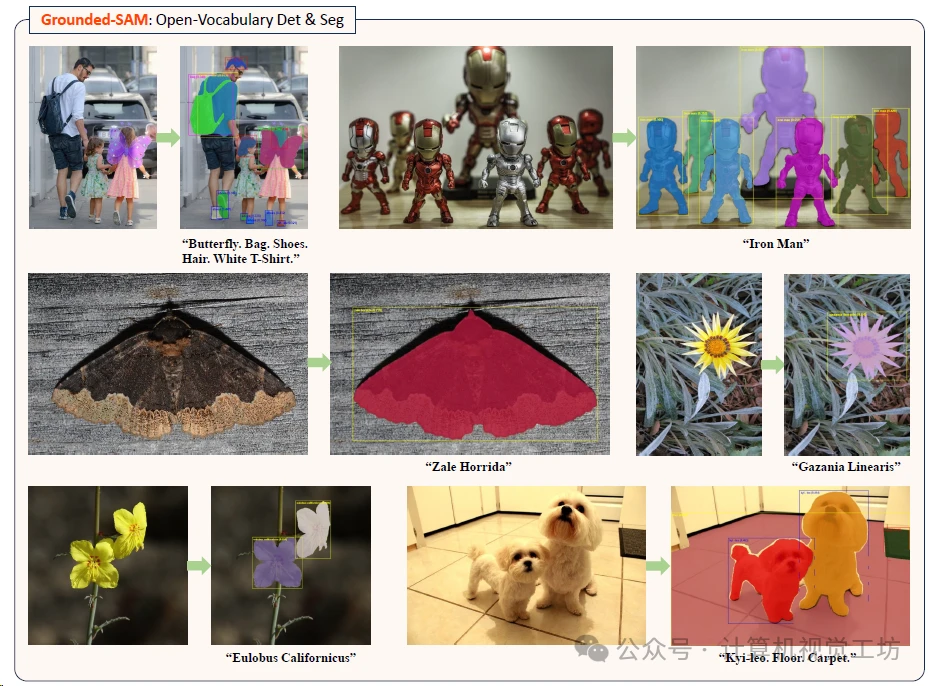 狂揽12.5k星的Grounded SAM论文来啦！检测、分割跟踪一切！ - 哔哩哔哩
