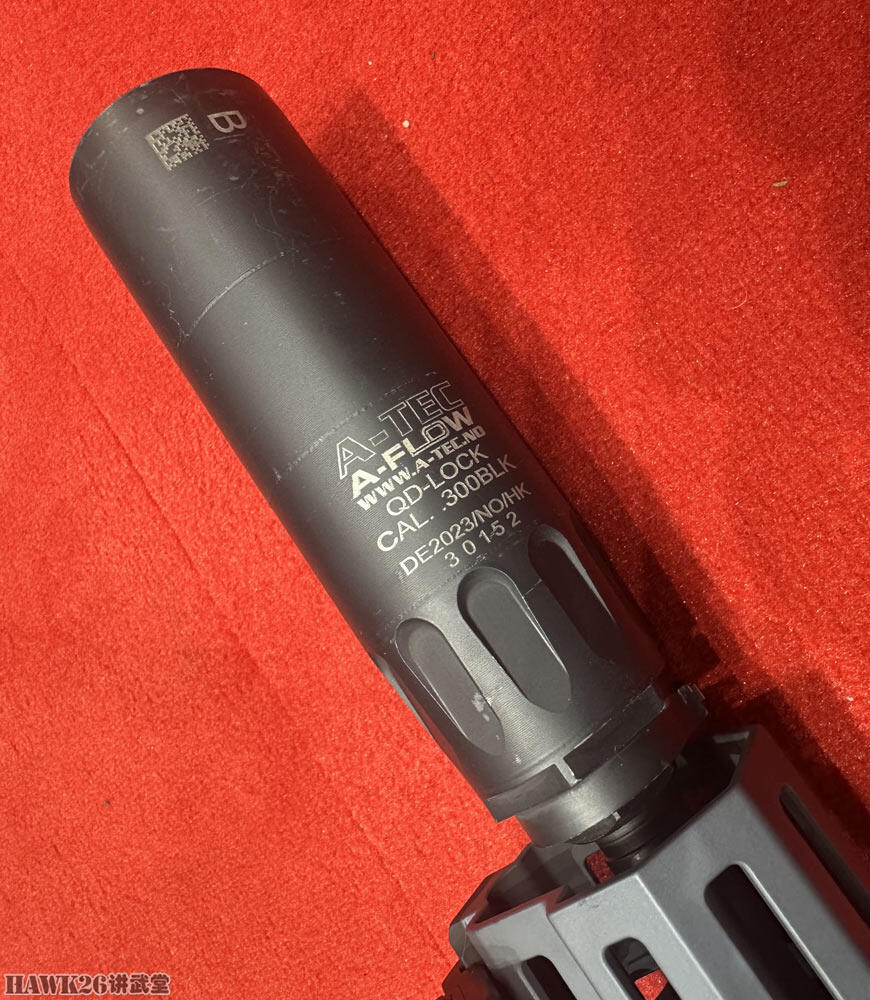 黑克勒-科赫公司G39微声步枪 经过深度改进 发射.300BLK专用弹药 - 哔哩哔哩