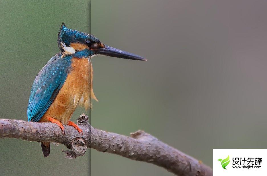 PS插件!PS降噪神器 Noiseware 5 中文汉化版 - 哔哩哔哩