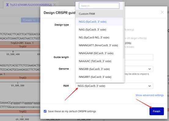 sgRNA设计教程（一）——Benchling - 哔哩哔哩