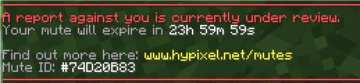 深入解析Hypixel所有处罚类型 - 哔哩哔哩