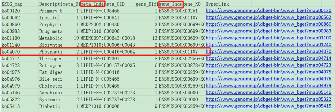 分享一个PPT+Excel绘制KEGG通路热图的方法 - 哔哩哔哩