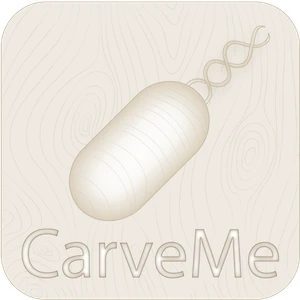 揭秘微生物社区的“社交网络”：基因组规模代谢模型(GEMs)的新前沿 - 哔哩哔哩