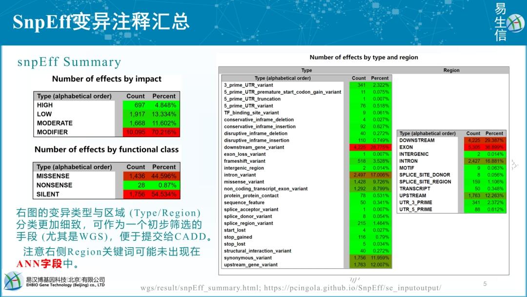 生信分析关键工具：基因组变异注释-SnpEff - 哔哩哔哩