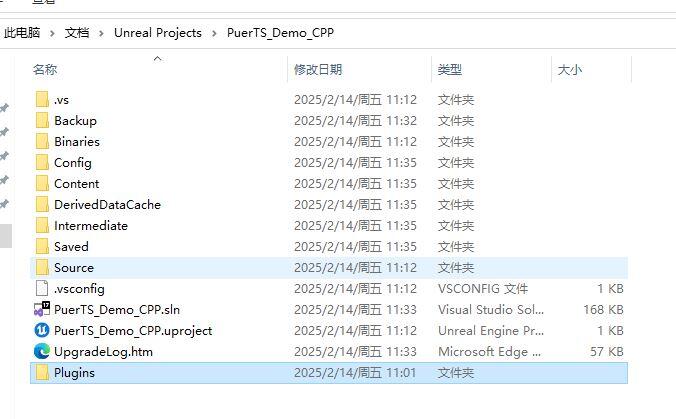 二、UE5.5如何引入PuerTS(文字版) - 哔哩哔哩
