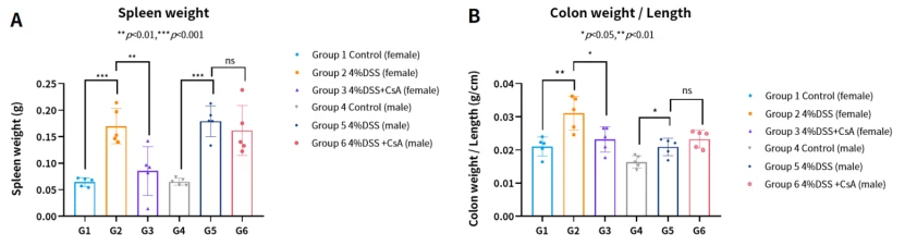 造模百科 | 炎症性肠病小鼠模型 - 哔哩哔哩