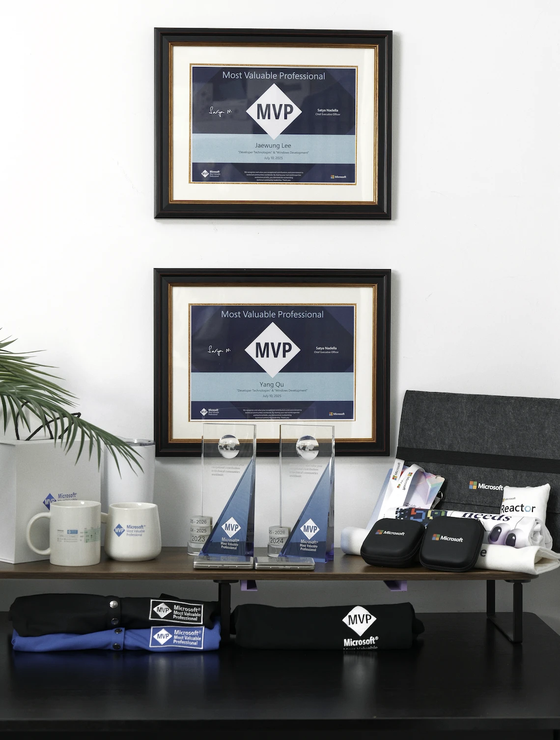 🎊微软MVP 2+3 - 哔哩哔哩