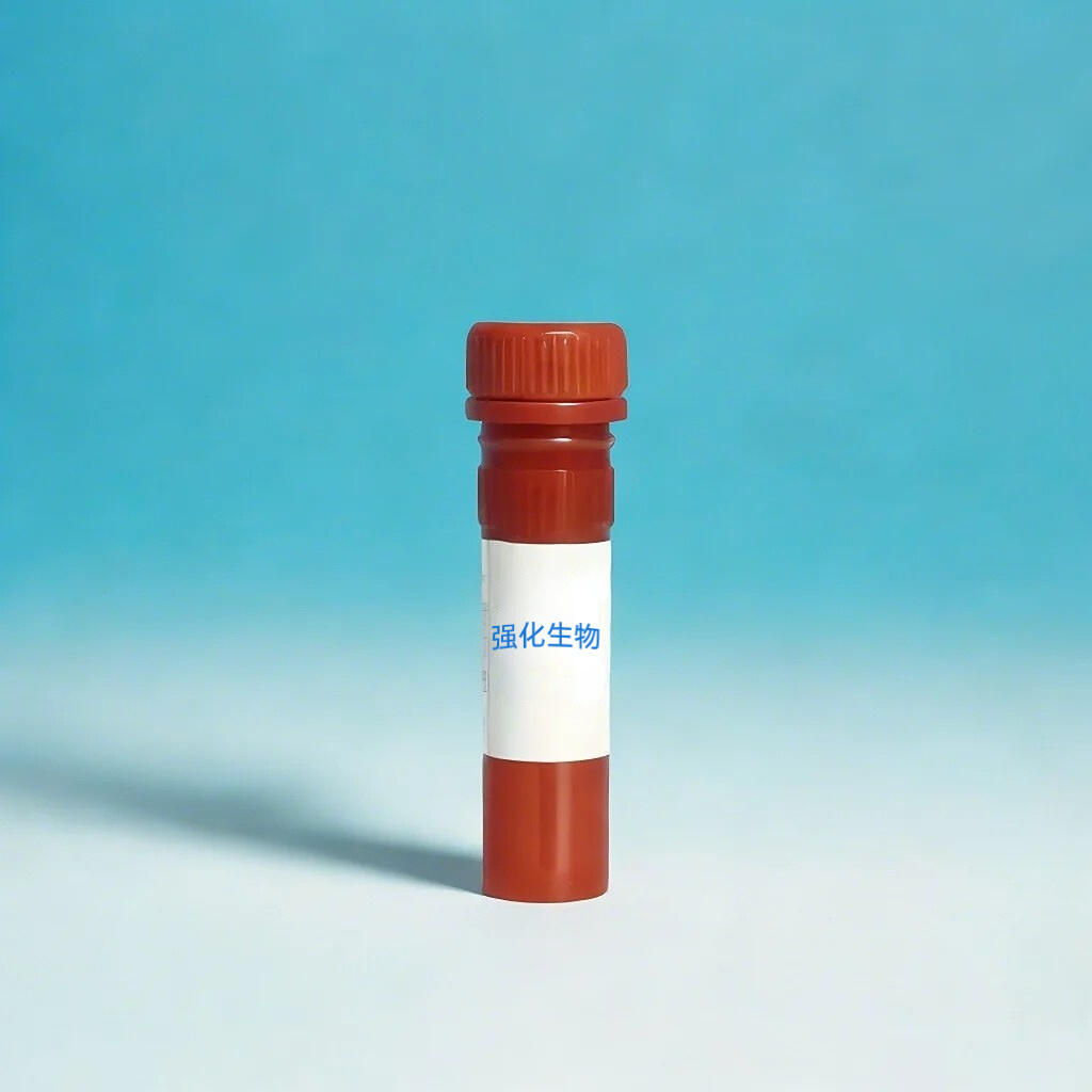 SYTOX Green Nucleic Acid Stain，染色流程 - 哔哩哔哩