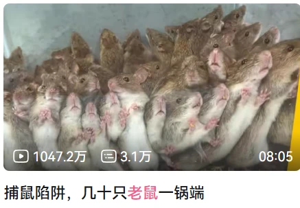 mvz2_EXPANDu25.04.01新版本更新介绍兼停更通知 - 哔哩哔哩