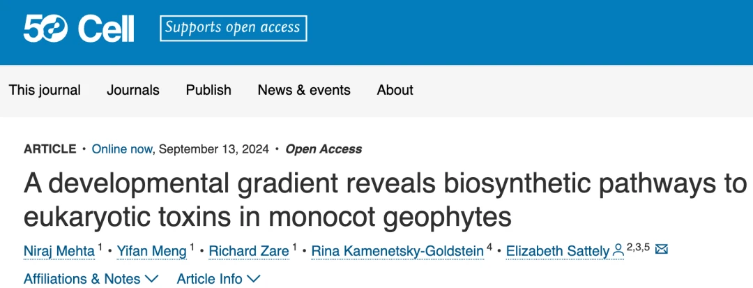 Cell Elizabeth Sattely团队揭秘石蒜科生物碱合成新途径再登顶刊 - 哔哩哔哩