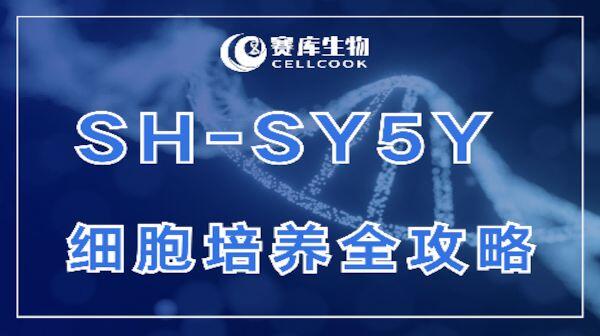干货收藏！SH-SY5Y 细胞培养全攻略：特性、操作、避坑指南一次掌握 - 哔哩哔哩
