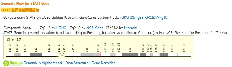 如何快速找到某个基因的相关疾病、信号通路、蛋白互作、表达等信息？ - 哔哩哔哩