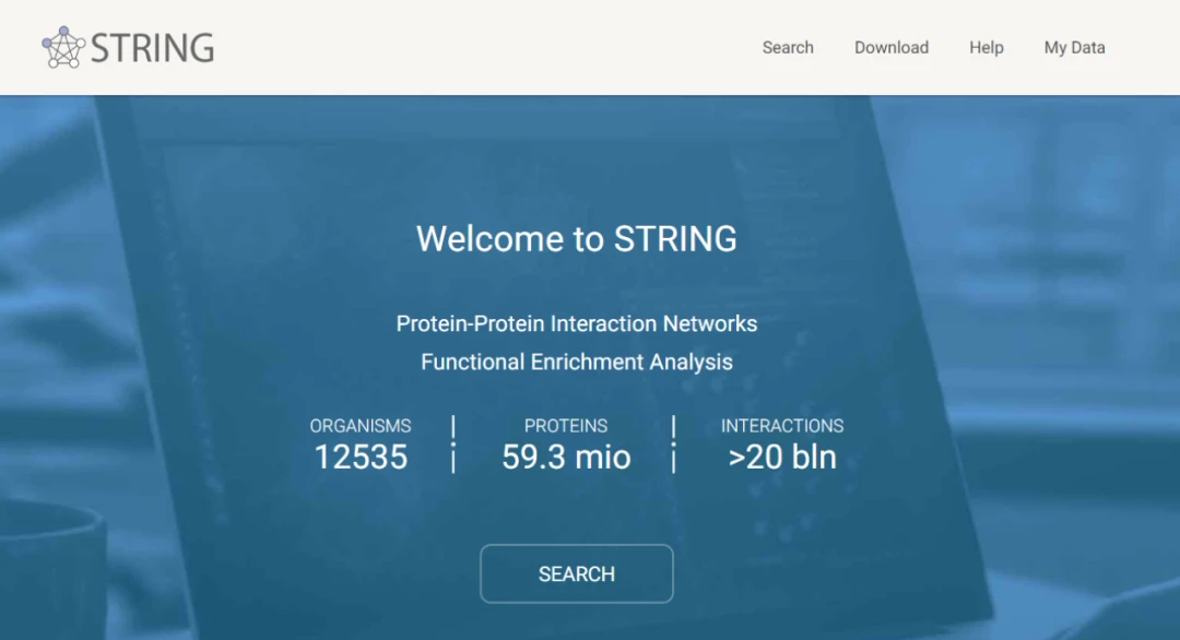 手把手教学｜String数据库与Cytoscape软件联合应用 - 哔哩哔哩