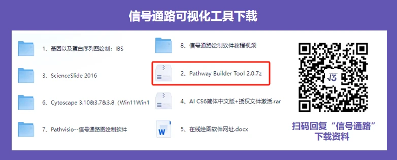 Pathway Builder Tool，分分钟搞定高大上的细胞信号通路图！ - 哔哩哔哩