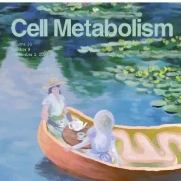 Cell Metab封面文章 | 川大华西李涛团队：乙酸改善睡眠紊乱 - 哔哩哔哩
