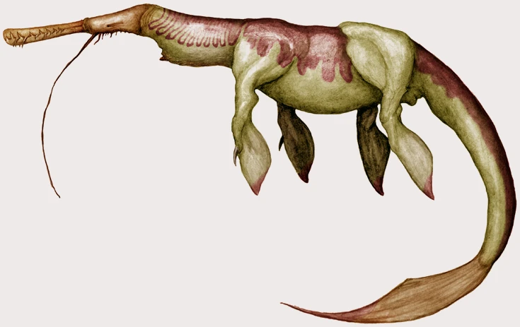 斯奈亚德/Snaiad 全文中译 4-18 脊椎动物-卡海德隆类 - 哔哩哔哩