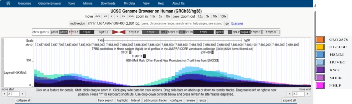 转录因子预测及优化策略-NCBI、JASPAR、UCSC数据库联用 - 哔哩哔哩