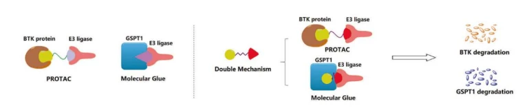 揭秘GSPT1：肿瘤治疗的黄金靶点 - 哔哩哔哩