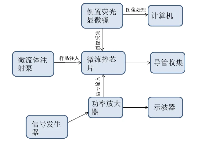 安泰电子ATA-2021B高压放大器经典应用合集 - 哔哩哔哩