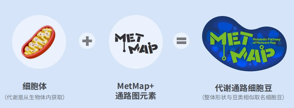 KEGG更新慢、富集不到新Pathway怎么办？MetMap™新通路图轻松搞定 - 哔哩哔哩