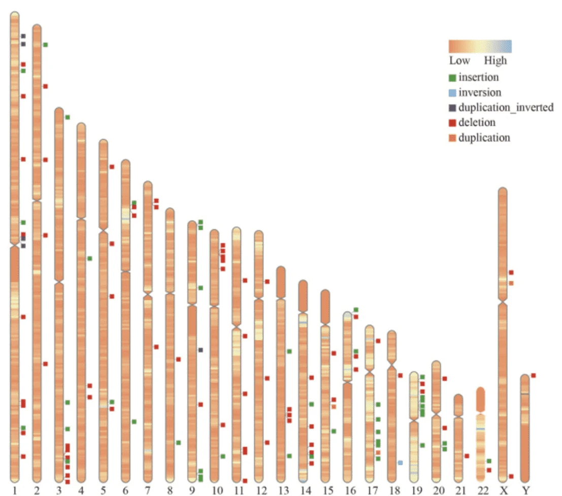 在线绘制染色体叠加密度和标记图 - 哔哩哔哩