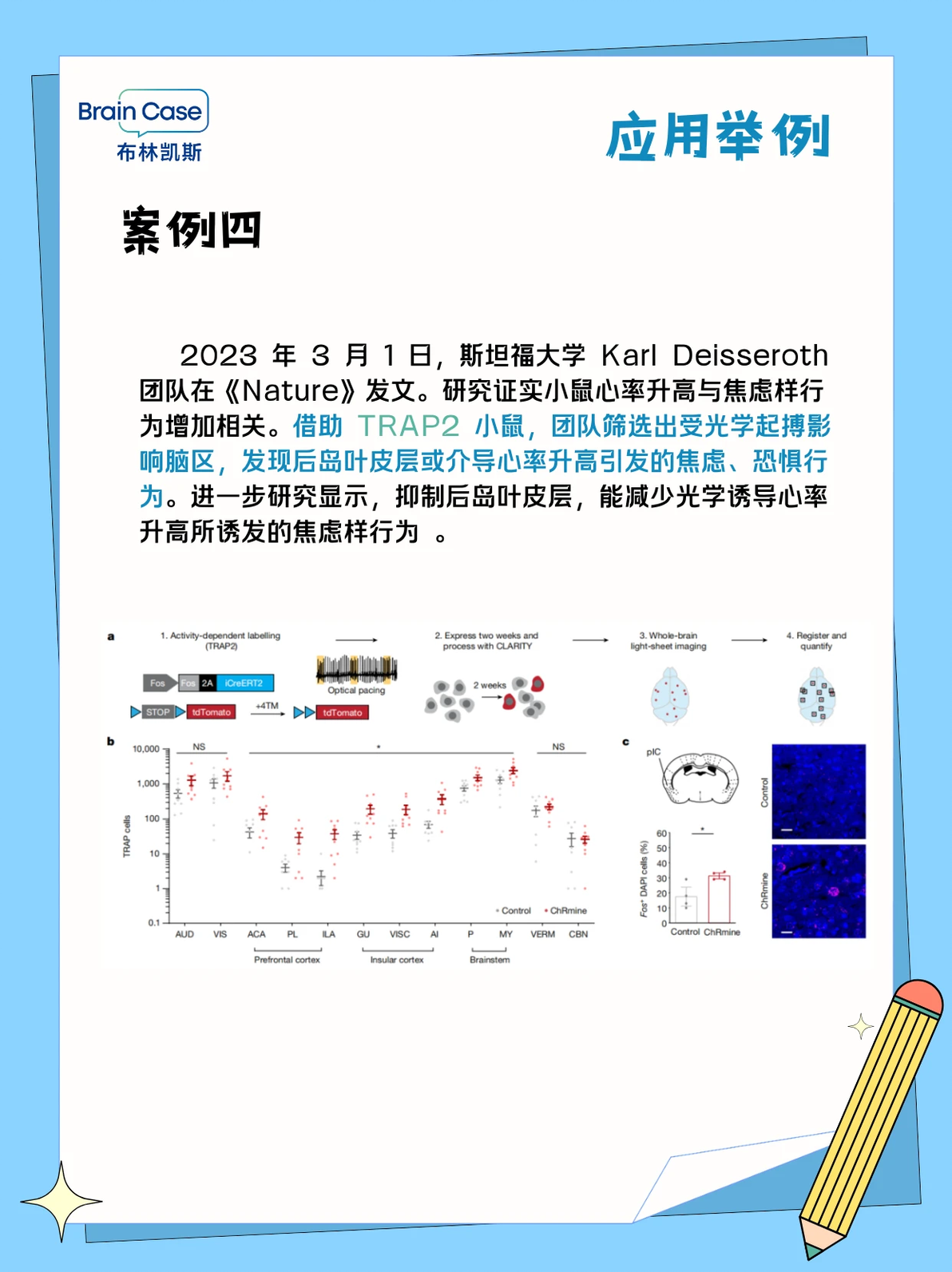 TRAP2:神经元研究的“神奇画笔”!🖊 - 哔哩哔哩