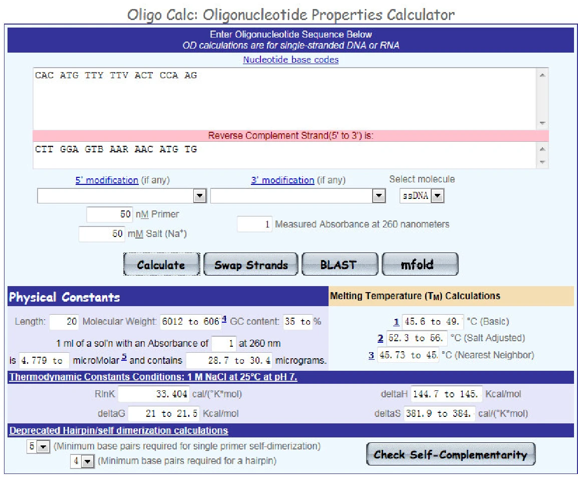 简并引物如何设计？MEGA+DNAMAN+Oligo Calc轻松搞定引物+验证！ - 哔哩哔哩