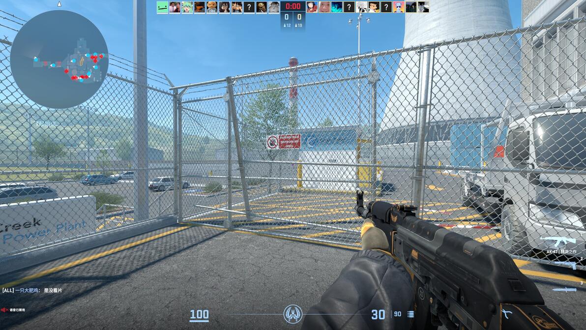 CS2 ak-47皮肤推荐 - 哔哩哔哩