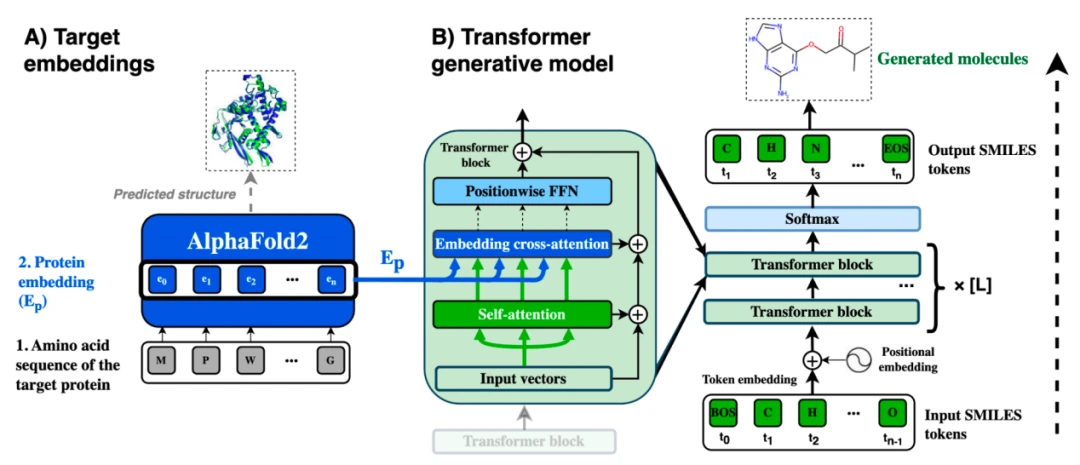 AlphaFold与小分子药物研发的结合：探索多靶点蛋白质结构信息在药物生成中的 - 哔哩哔哩