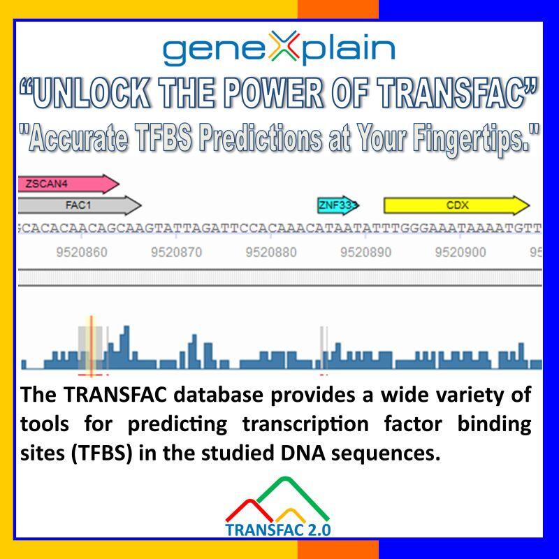 使用 transfac 精确预测转录因子结合位点 (TFBS) - 哔哩哔哩