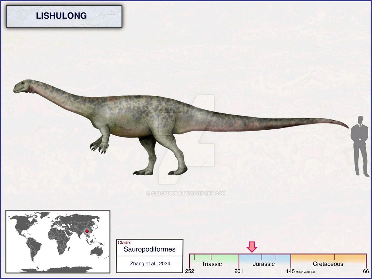 分享古生物图片（第三十三期） - 哔哩哔哩