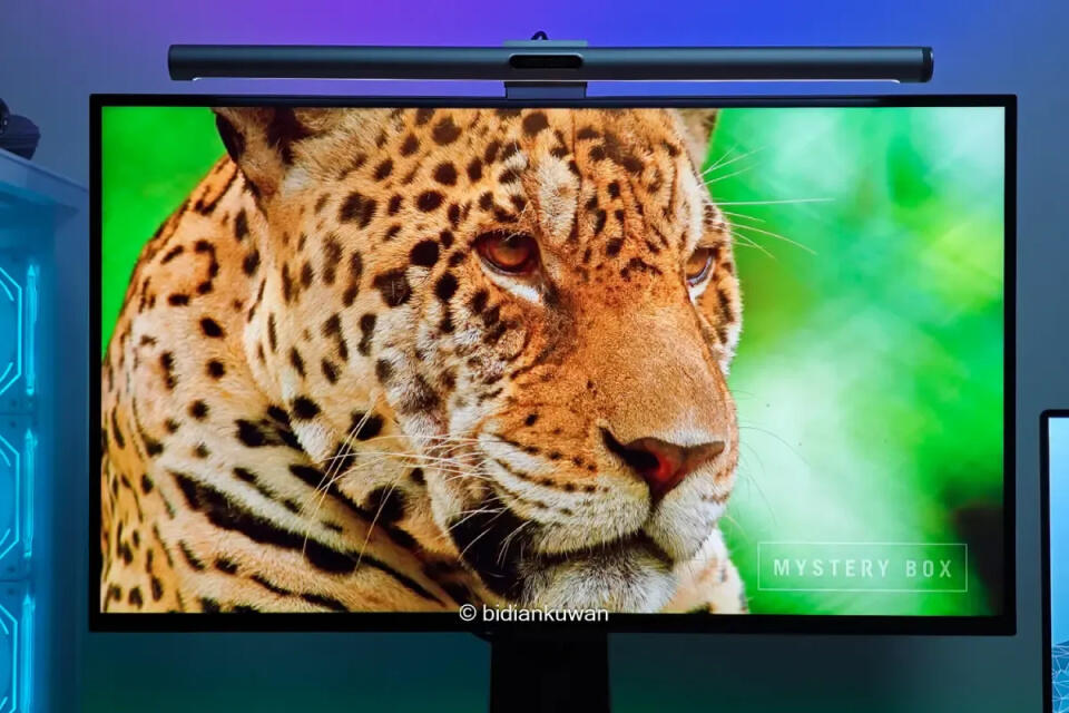 4K MiniLED慎买IPS屏，FastHVA面板才是更优解！雷鸟U8电竞显示器实测 - 哔哩哔哩