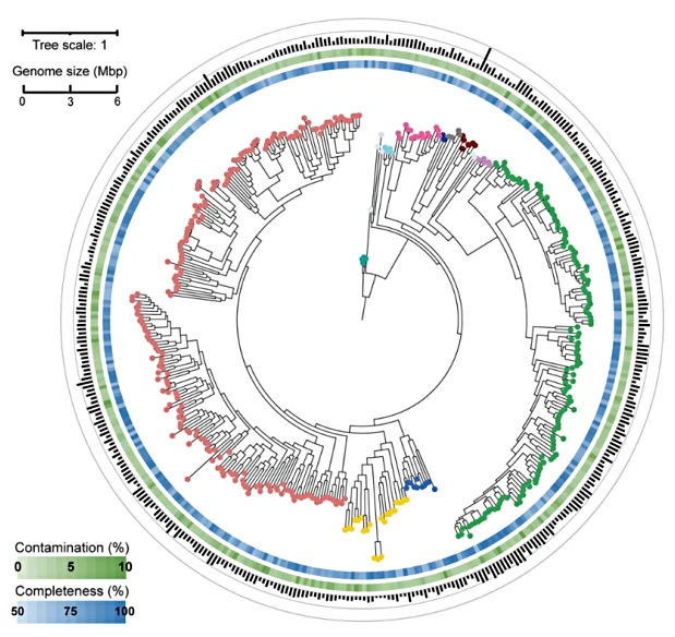 揭秘微生物社区的“社交网络”：基因组规模代谢模型(GEMs)的新前沿 - 哔哩哔哩